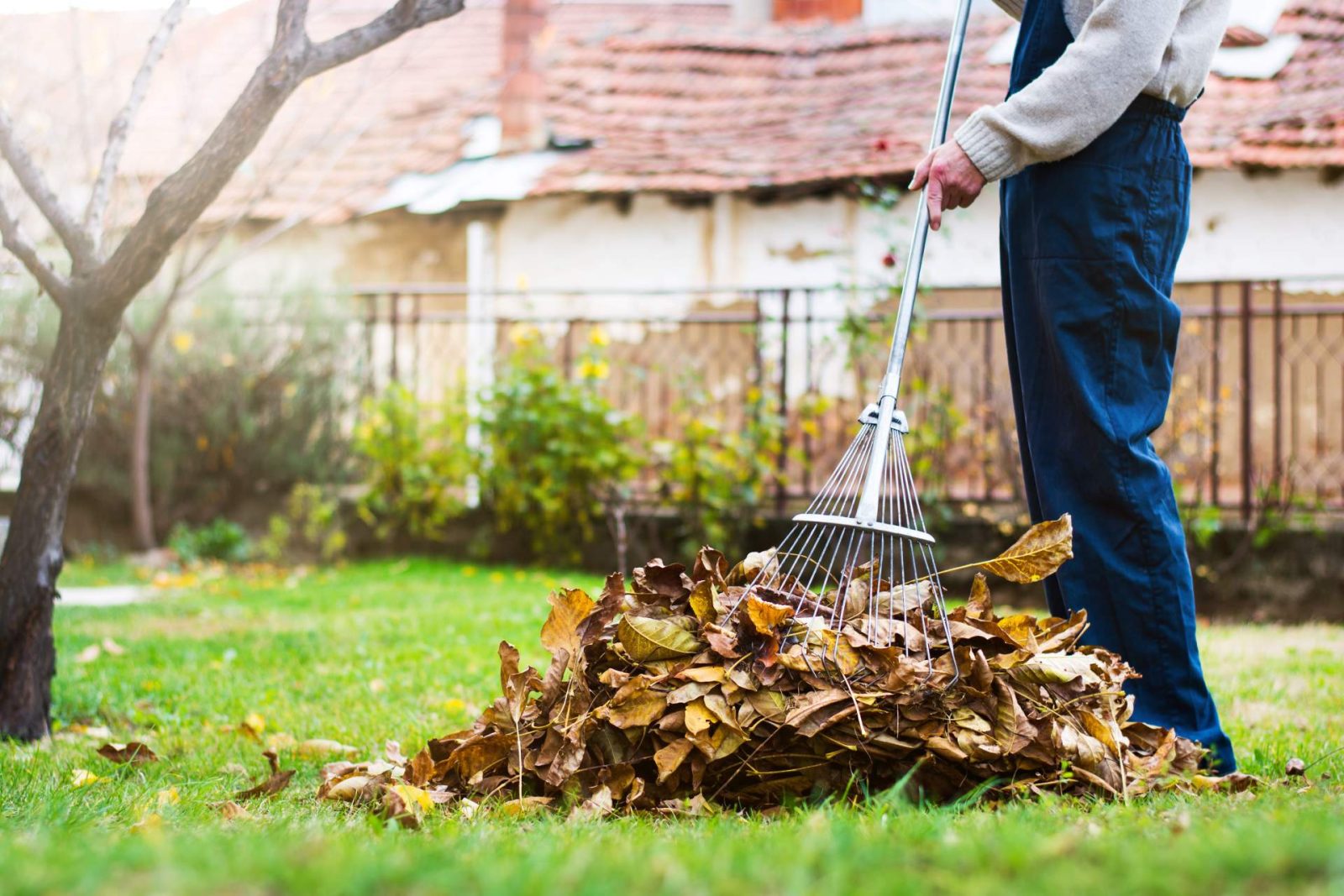 Landscaping & Grounds Maintenance | UK | Ideal Grounds Maintenance
